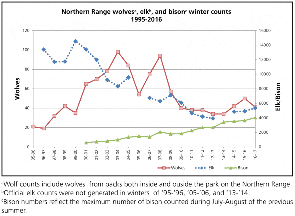 War over wolves: Opposing sides of wolf reintroduction argue their ...